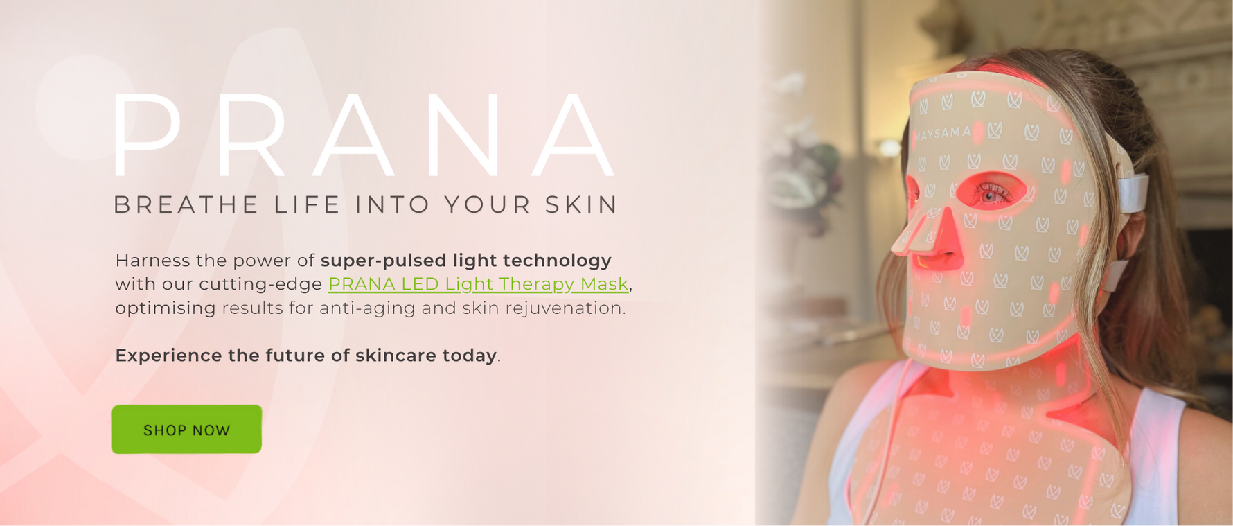 Antioxidant-rich, Eco-Friendly Rooibos Skincare Products - Maysama