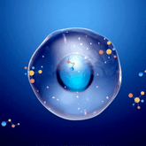 Pulsed LED Light Therapy | How It Works – Maysama