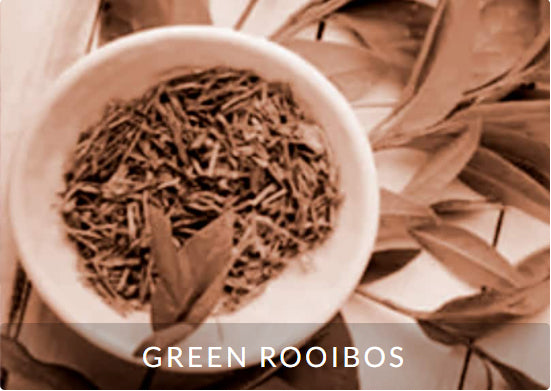 The Rooibos Story – Maysama